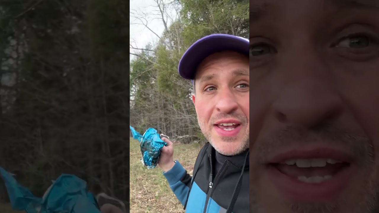 Building a Bird Hatchery: Exciting Progress