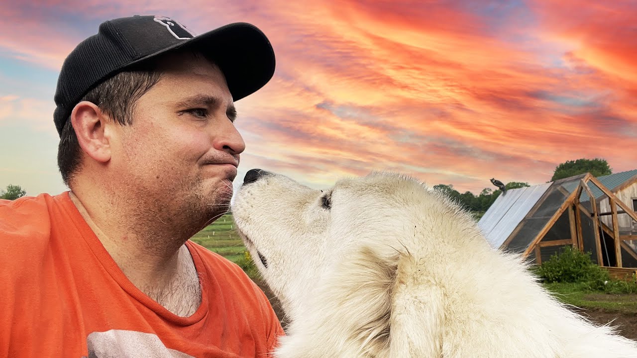 Returning home reveals what I missed at the farm