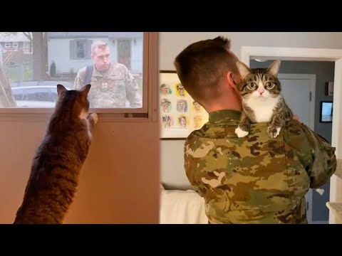 Animals reunited with humans after years apart