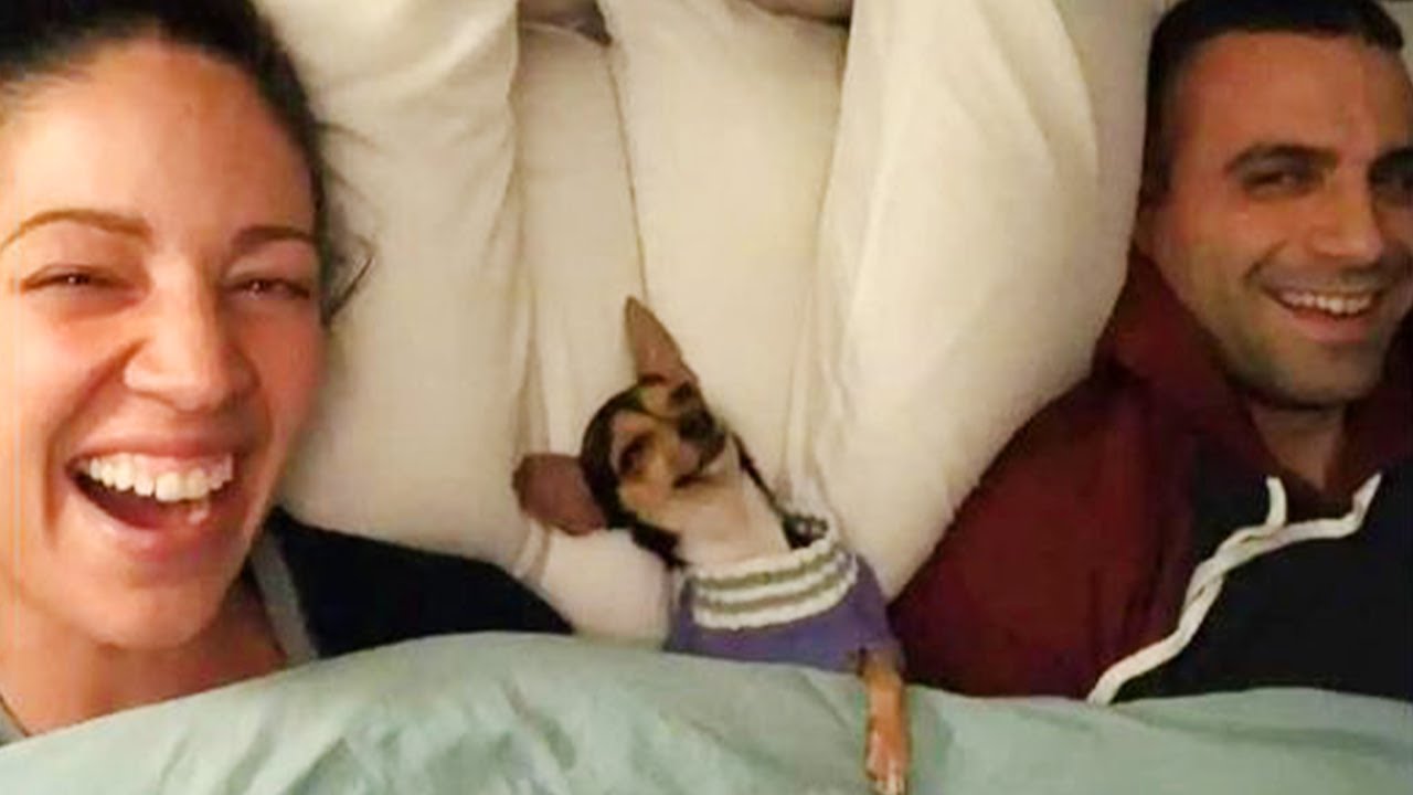 Unforgettable moments you’ll only get with a dog