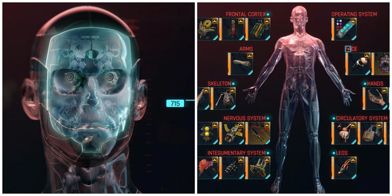 Cyberpunk 2077: The Best Pieces of Cyberware In Every Slot (& Where To ...