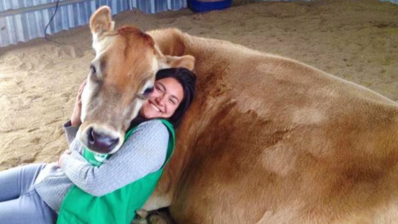 Animals guaranteed to make you smile today