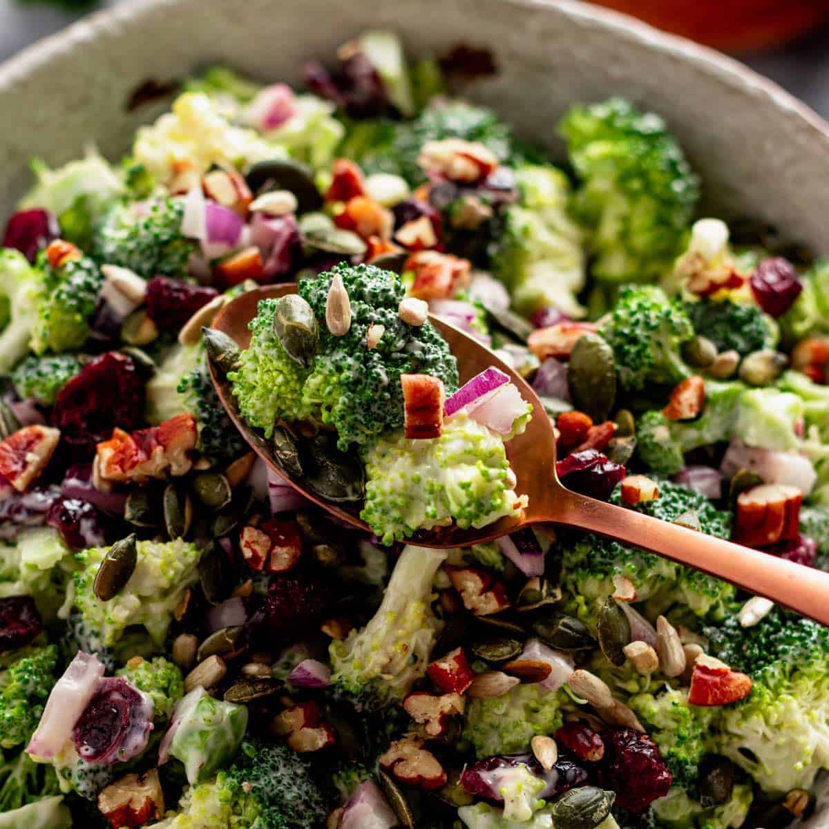 Creamy Broccoli Cranberry Salad
