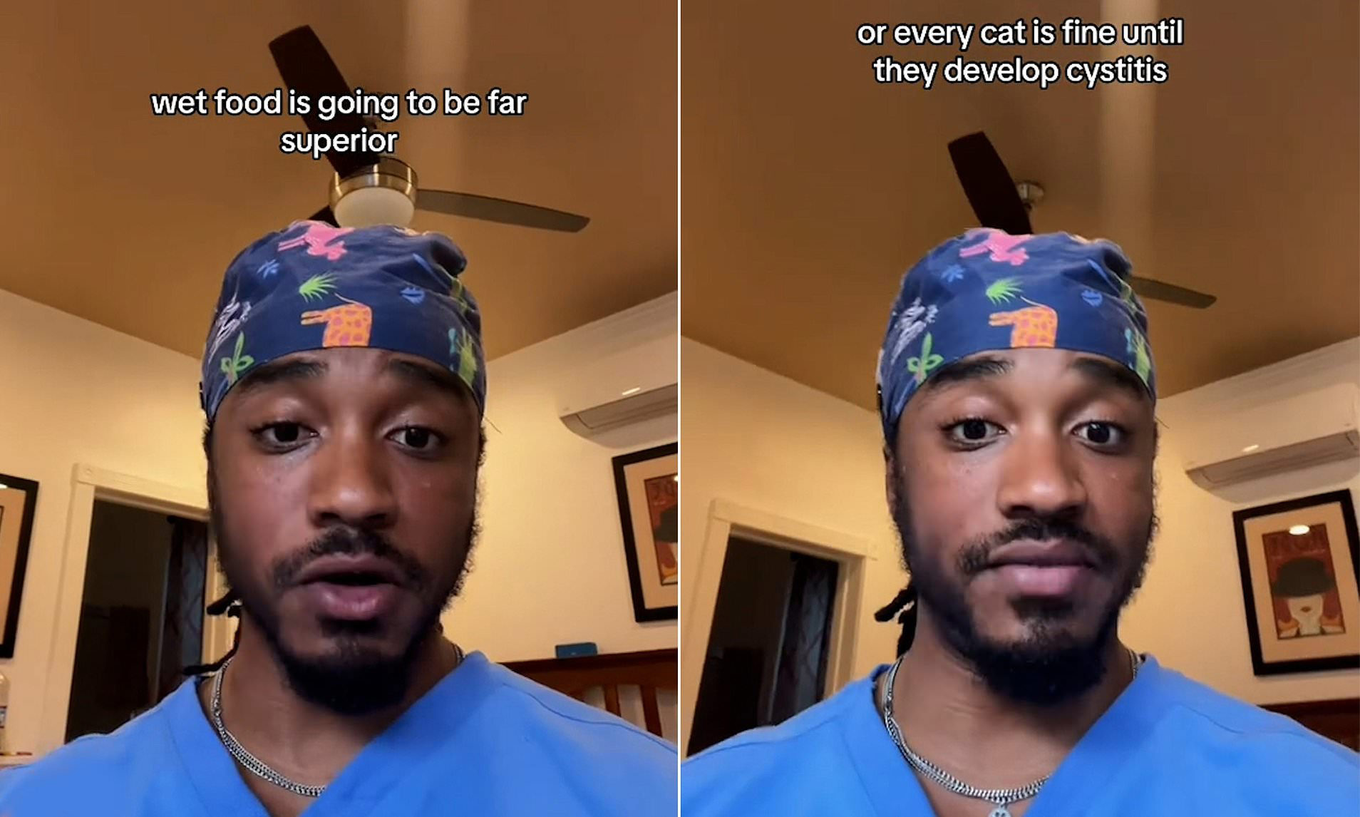 Vet issues warning to cat owners to stop using this type of pet food Vet issues warning to cat owners to stop using this type of pet food