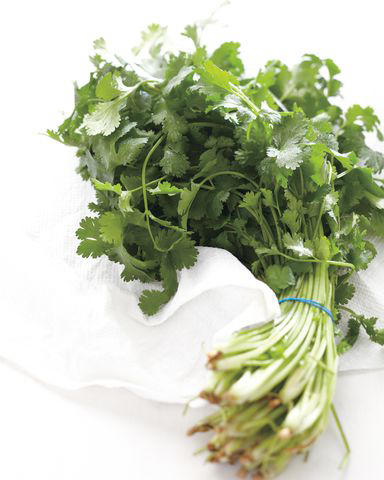 Don't Mistake Cilantro for Culantro—Here's the Difference Between These ...