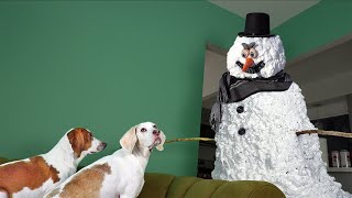 Dogs Face Off With Scary Snowman in Prank