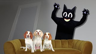 Funny Dogs Battle Giant Cartoon Cat in Prank