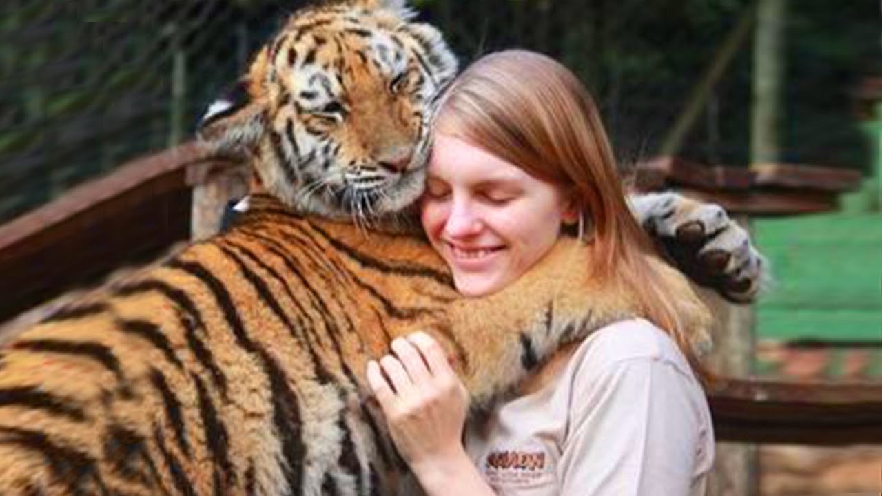 Emotional reunions between animals and their people