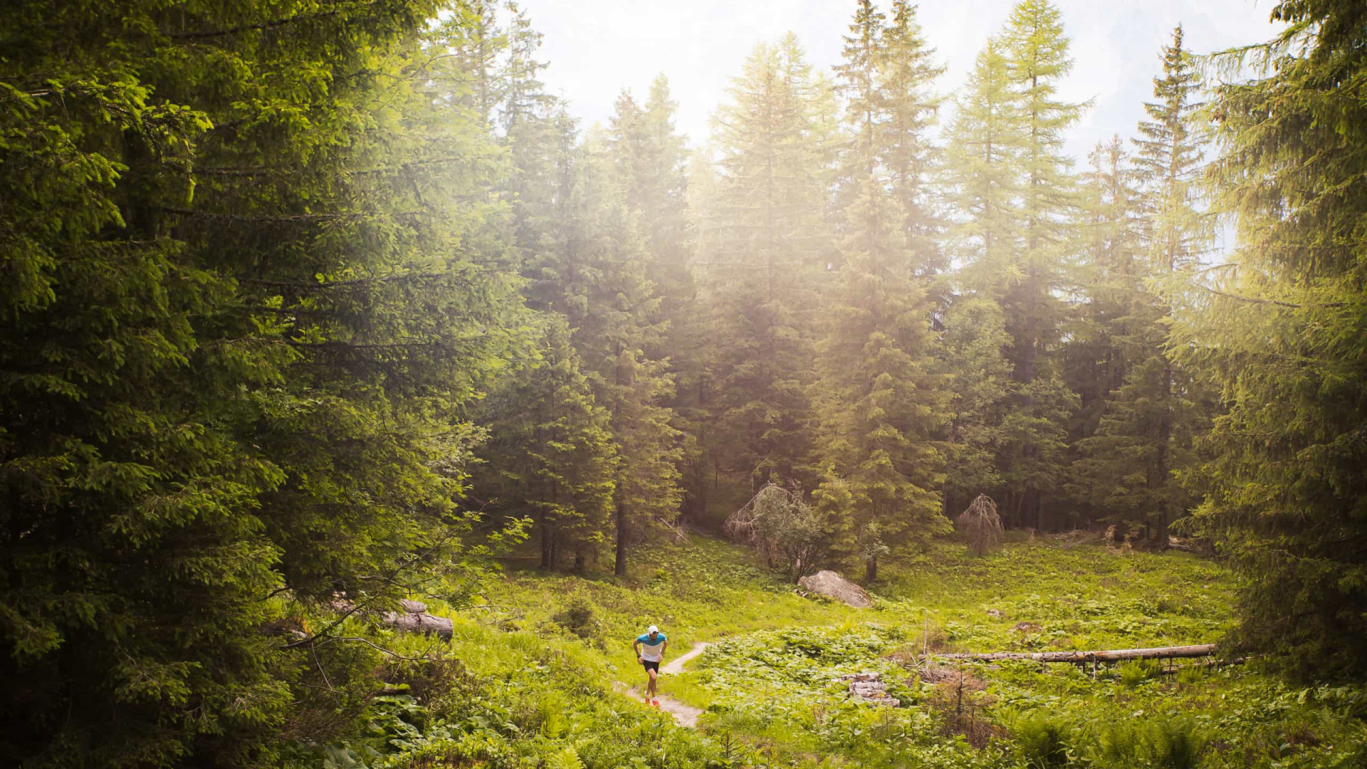 The physical and mental health benefits of trail running