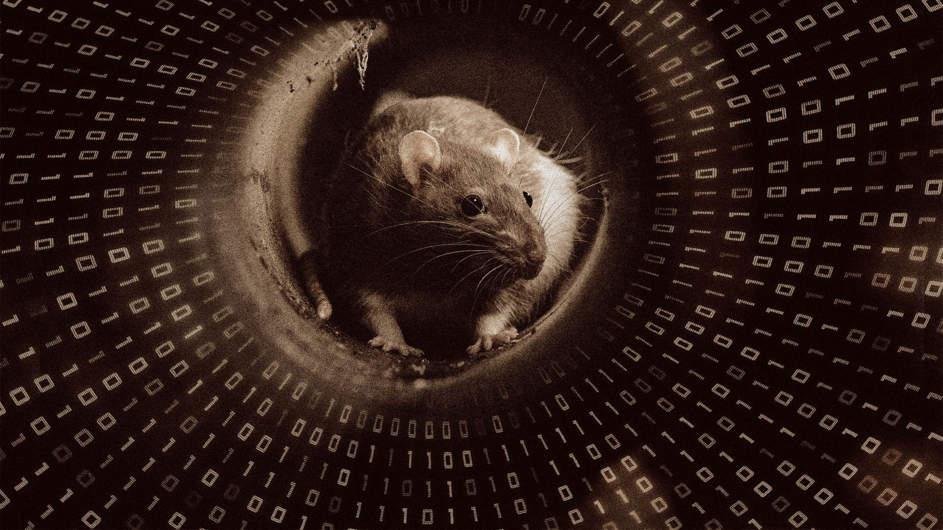 How the FBI took down the world's largest zombie 'botnet' How the FBI took down the world's largest zombie 'botnet'