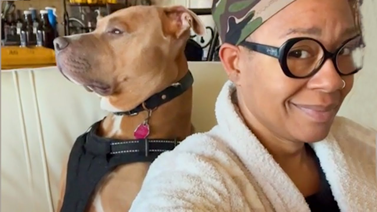 Proof Your Dog Might Rule the House