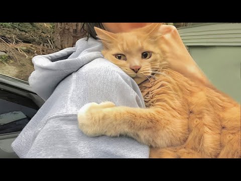 Animals who did not forget their owners after years apart