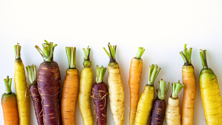 19 Common Mistakes A Chef Wants You To Avoid When Baking Carrot Cake