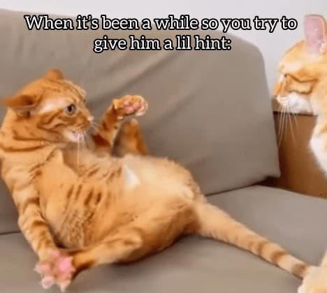 40 Funny Spicy Memes That Just Might Be The Spark Married Couples Need ...