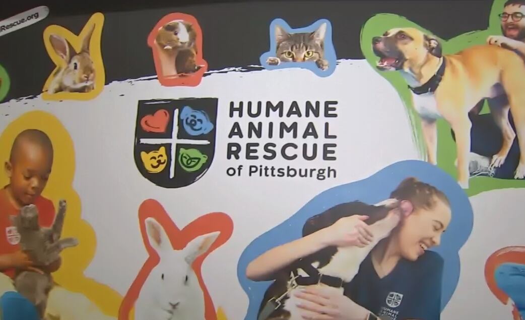 Humane Animal Rescue of Pittsburgh hits capacity, is temporarily unable ...