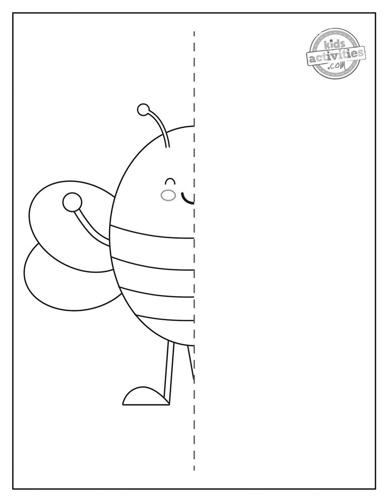 Symmetry Drawing Worksheets