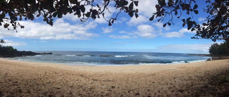 9 North Shore Oahu beaches that'll make your kids beg to stay longer