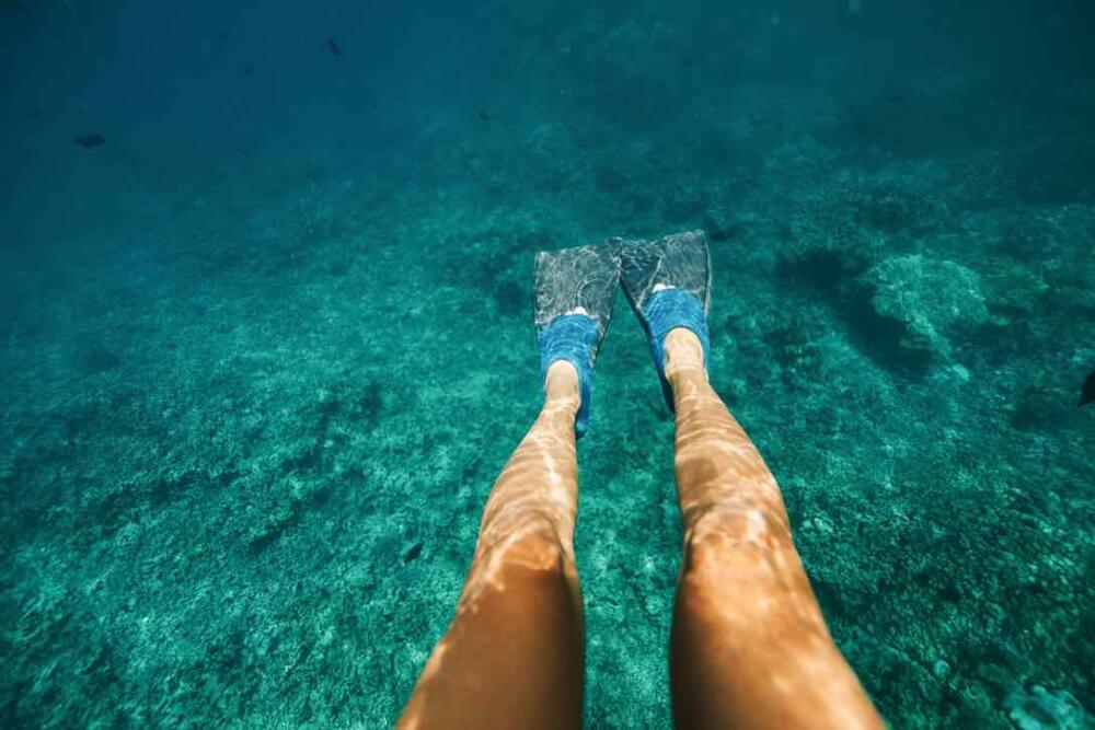 Best Snorkeling on Oahu: Top 7 Must-Visit Locations