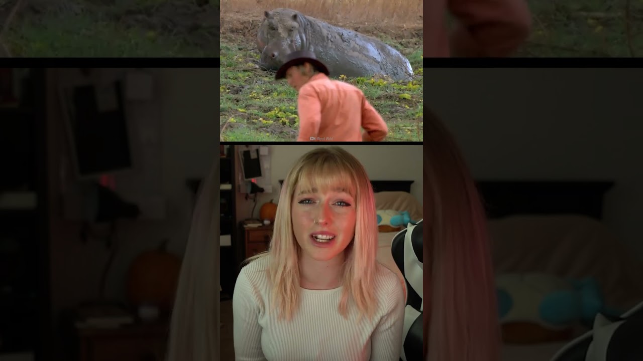 Learn the best moves to survive a wild hippo attack