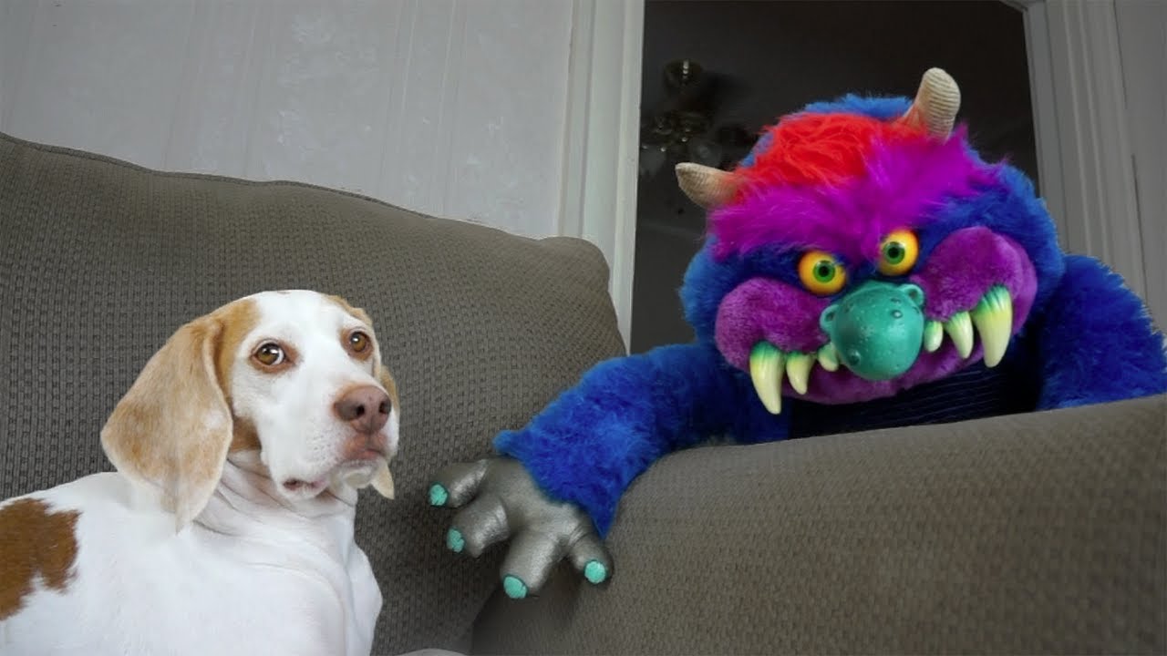 A dog and a monster unexpectedly become best friends