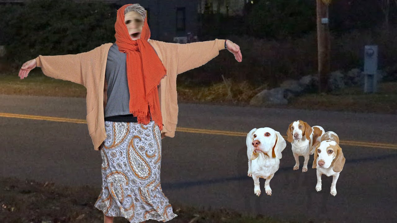 Dogs uncover Serbian dancing lady in hilarious prank