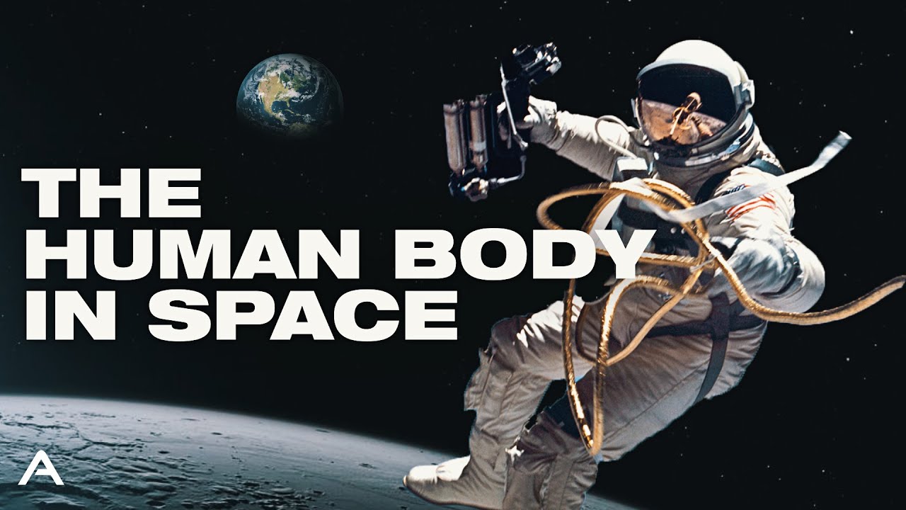 How the Human Body Adapts to Space’s Zero Gravity