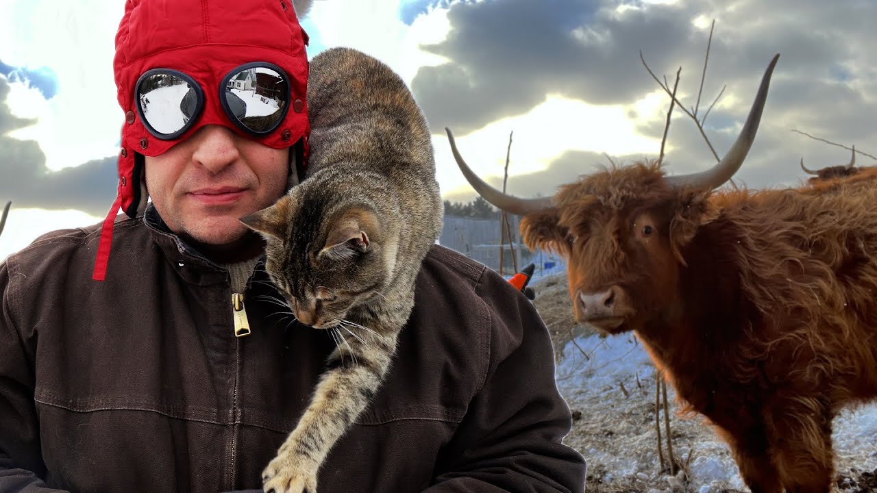 Animals survive sub-zero temperatures on Vermont farm