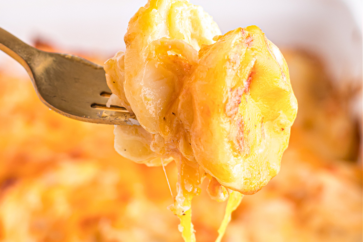 14 vegetable casserole recipes that get everyone to eat their veggies