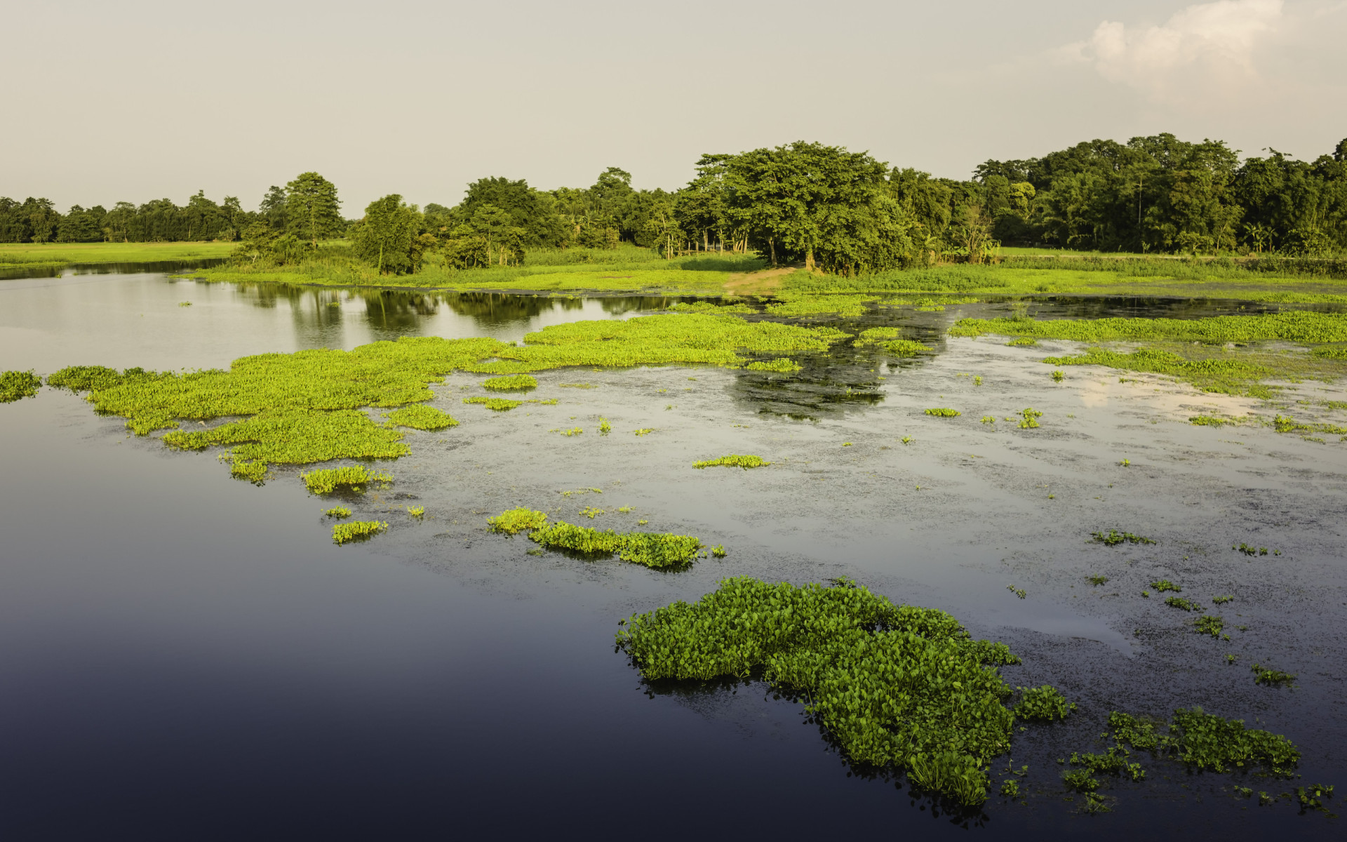 30 stunning natural wonders to visit in India