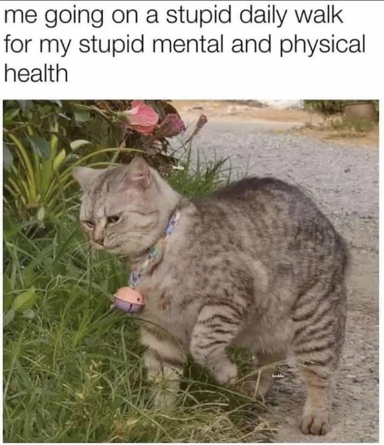 45 Funny Mental Health Memes To Discuss In Therapy 45 Funny Mental Health Memes To Discuss In Therapy