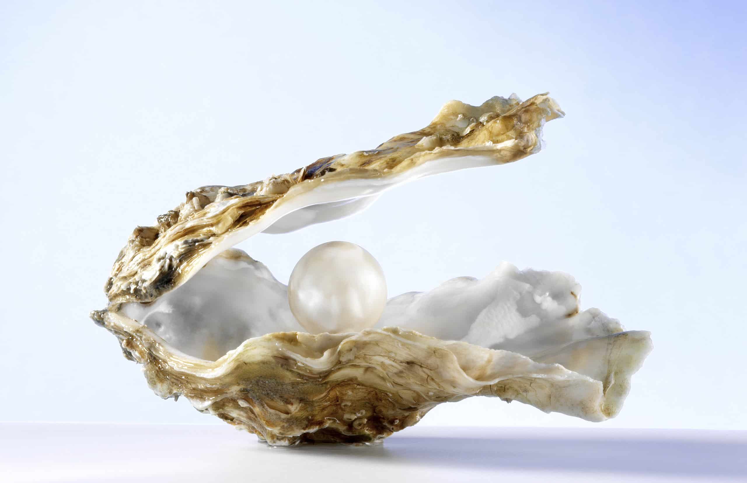 The Most Beautiful Pearls Are Not Even White
