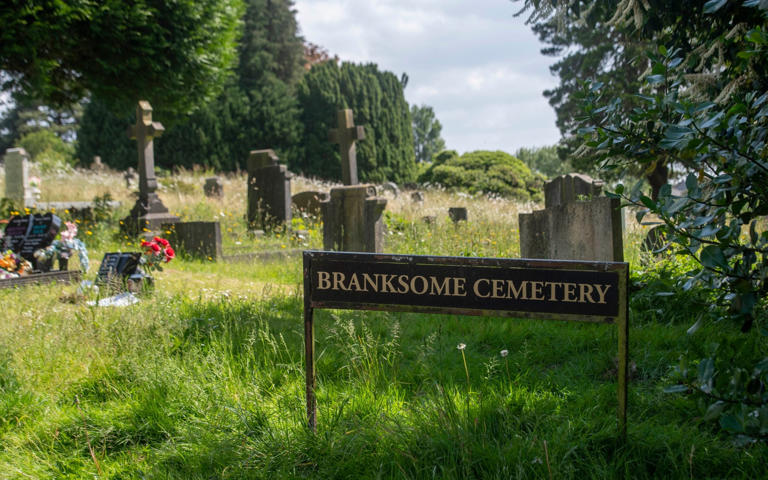 Council Rewilding Leaves Families Unable To Find Graves