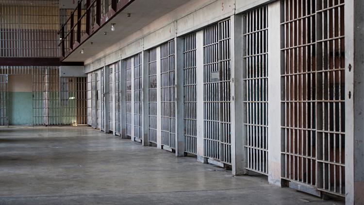 Jail visitor and inmate face charges over drug delivery attempt at ...