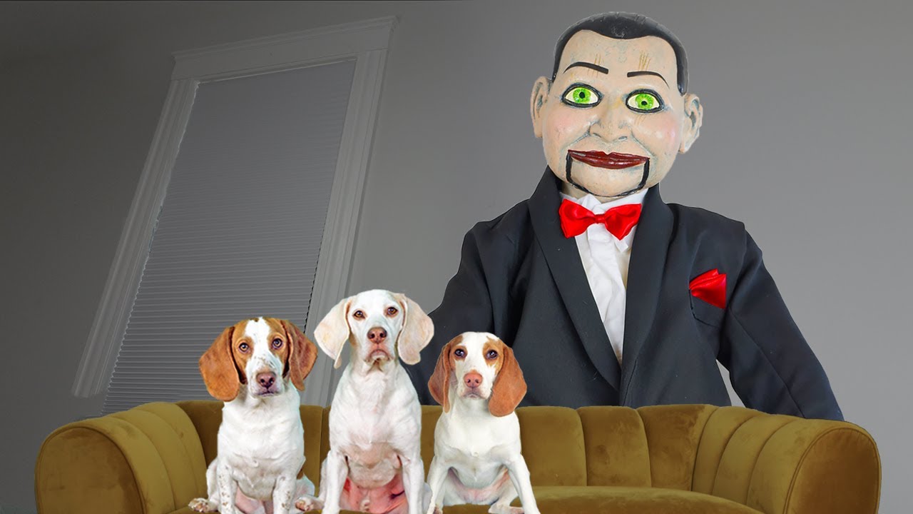 Dogs confront demon doll Billy from Dead Silence prank