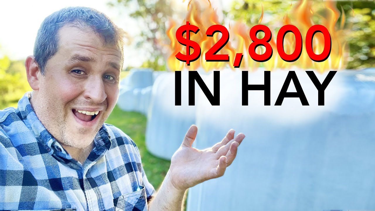 Thirty-five tons of hay without any cattle yet