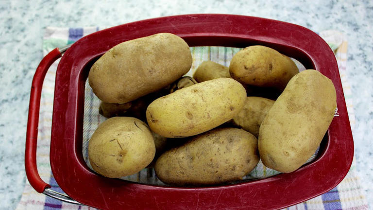 If you're a dill pickle fan, you're really going to like this homemade ...