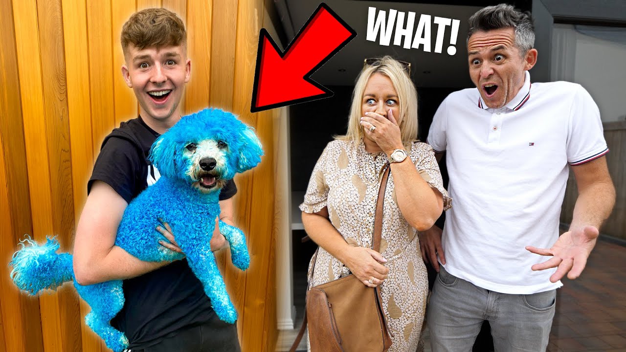 My parents react after I dyed our dog’s hair