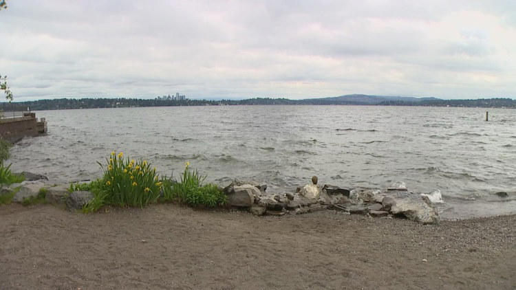 Seattle has 14 days to address nudity at a controversial nude beach