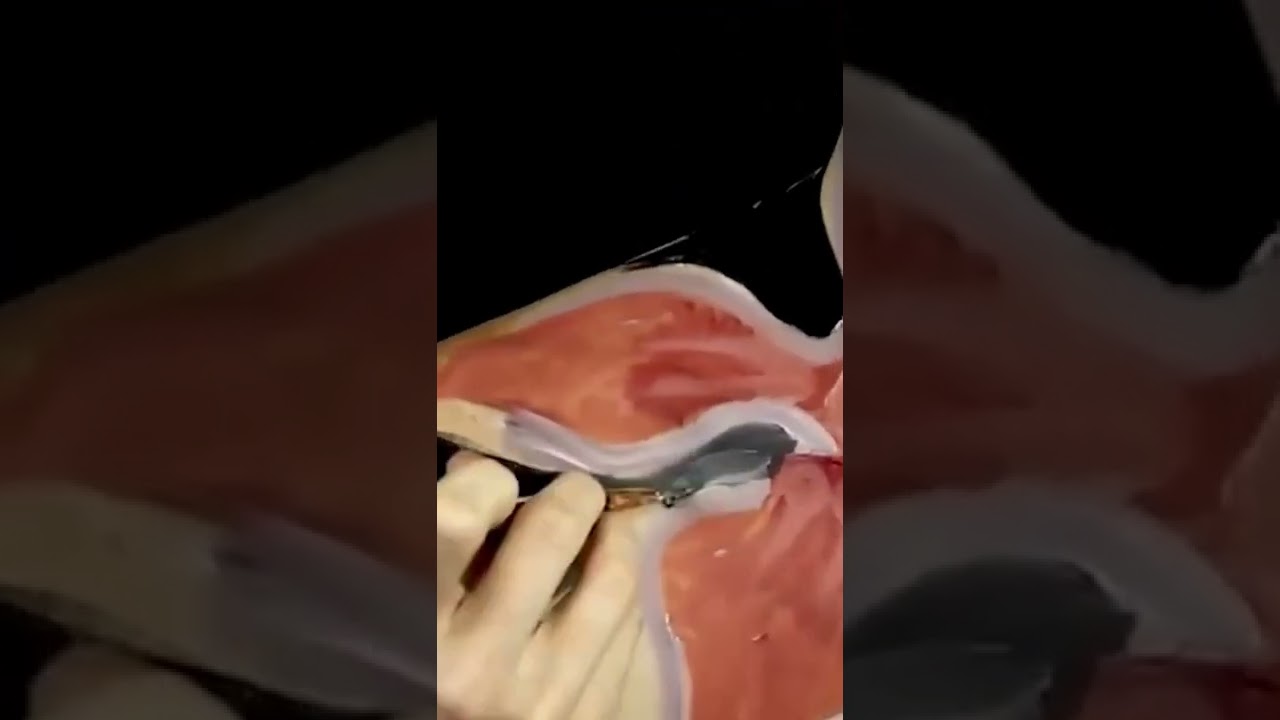 The Demogorgon returns in Stranger Things cosplay makeup