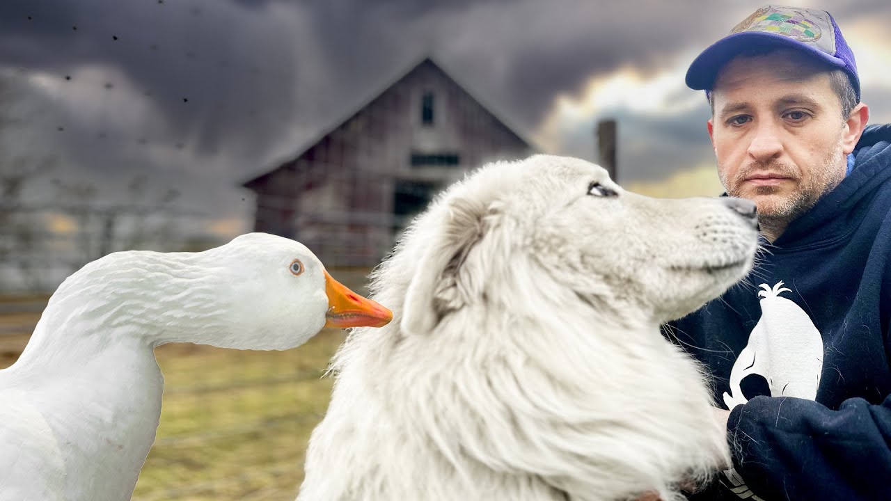 Farm Problems You’ll Recognize With a Laugh