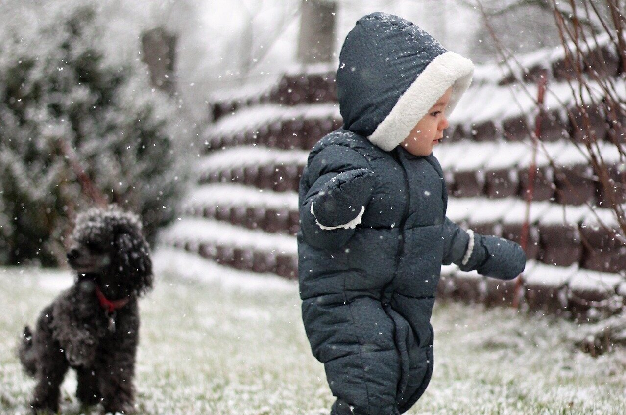 Remembering the cold: Scientists discover how memories control metabolism