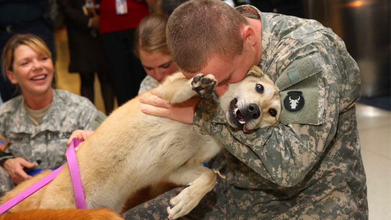 Animals reunited with humans in heartwarming moments
