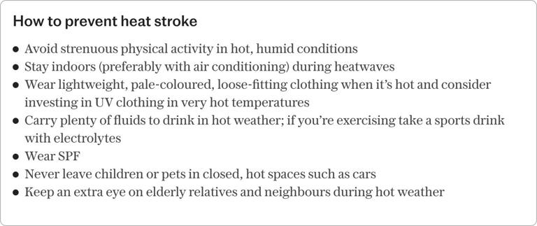 Exactly what happens to your body with heat stroke