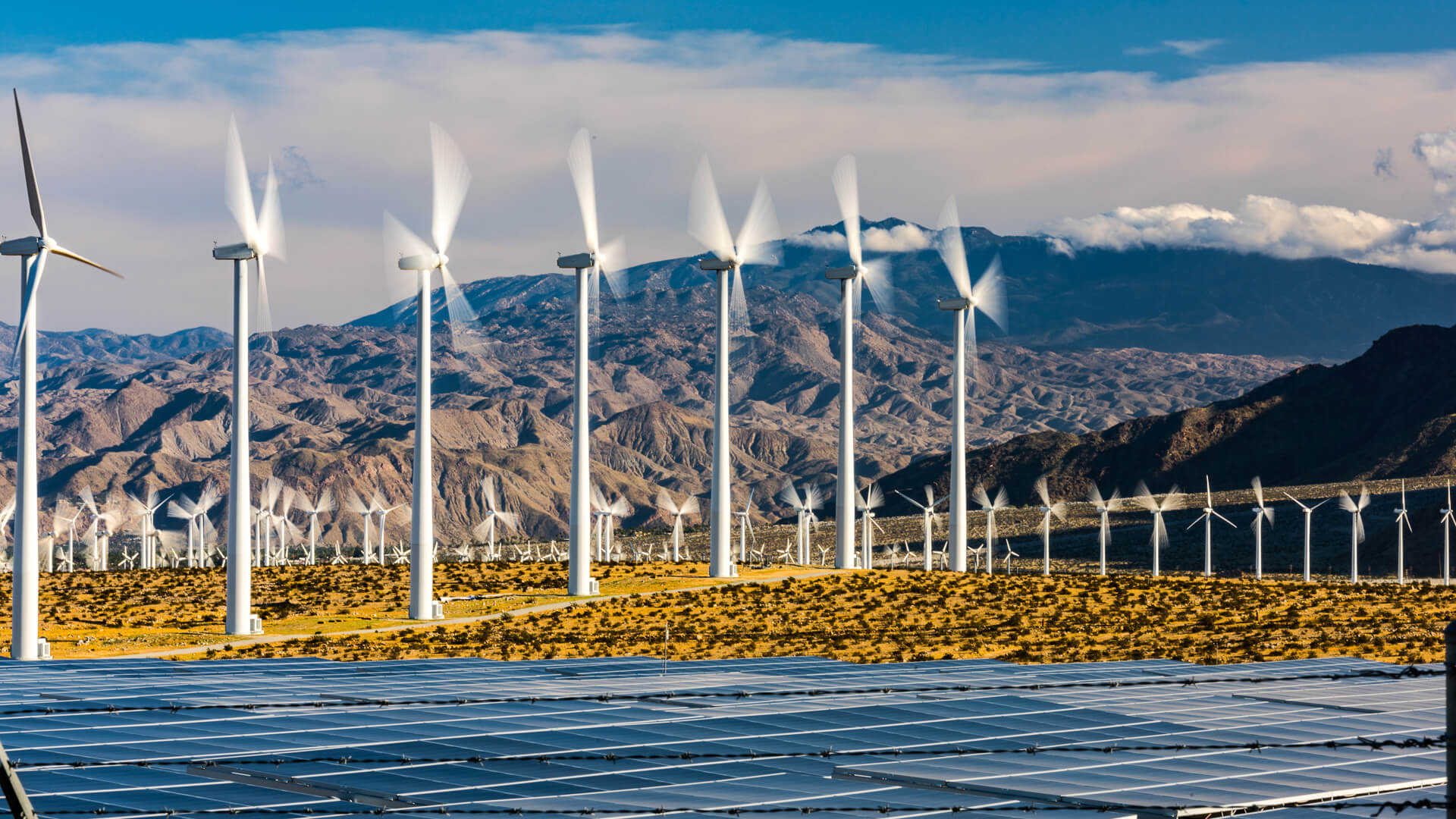 Best Renewable Energy Stocks To Watch and Invest In Now
