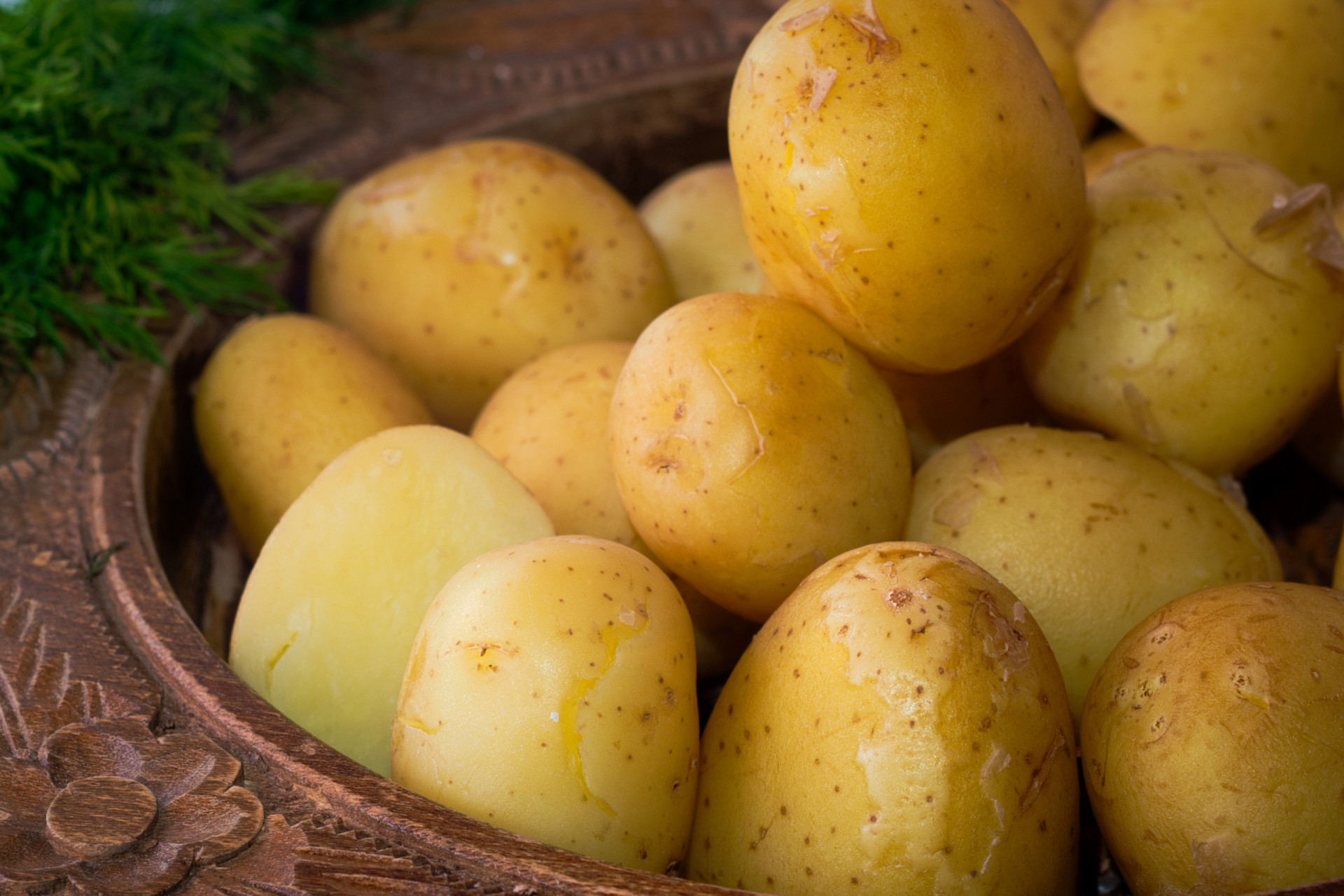 Mai e poi mai riscaldare questi cibi nel microonde. Ne va della vostra ...