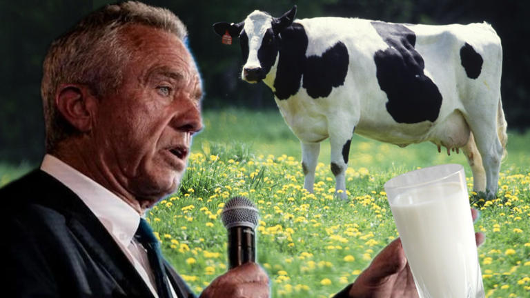 Internet Reacts to RFK Jr’s “I Only Drink Raw Milk” Declaration Internet Reacts to RFK Jr’s “I Only Drink Raw Milk” Declaration