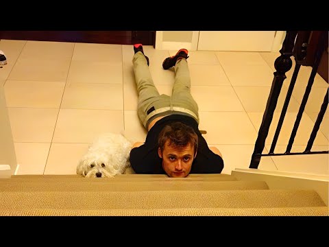 Dogs and humans proving they are best friends forever