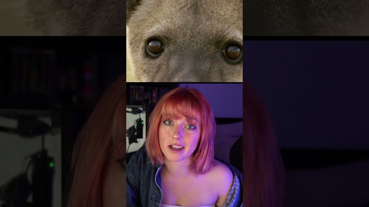 What You Need to Know About Surviving a Hyena Attack