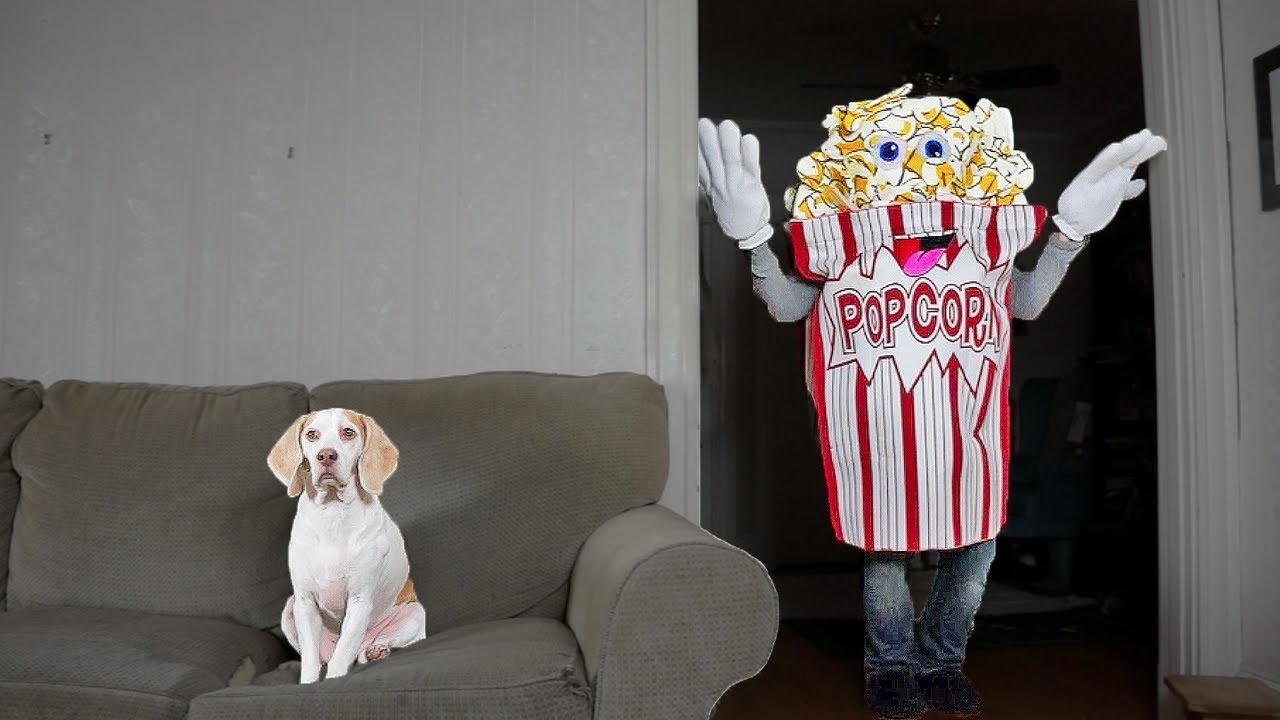 Dog confronts a giant popcorn man in a prank