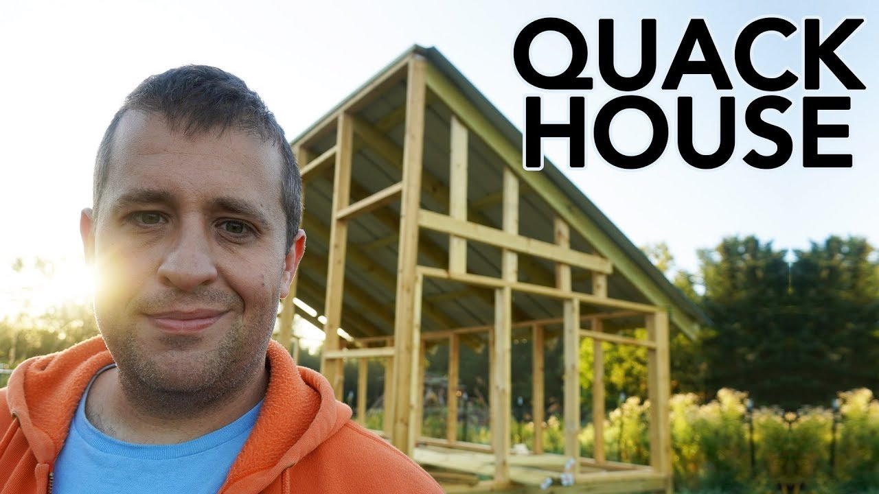 Designing the Ultimate Duck House